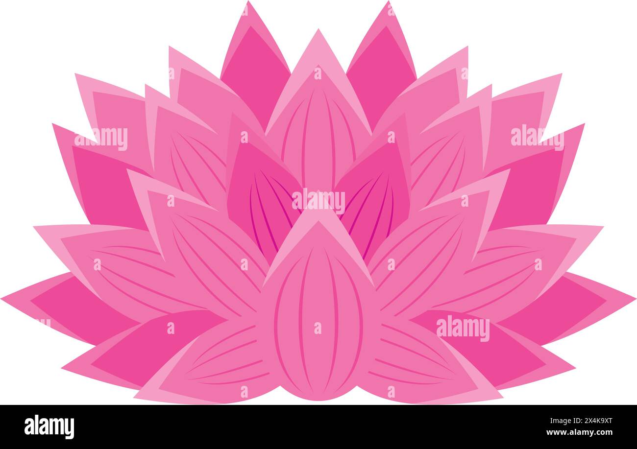 pink lotus flower Stock Vector Image & Art - Alamy