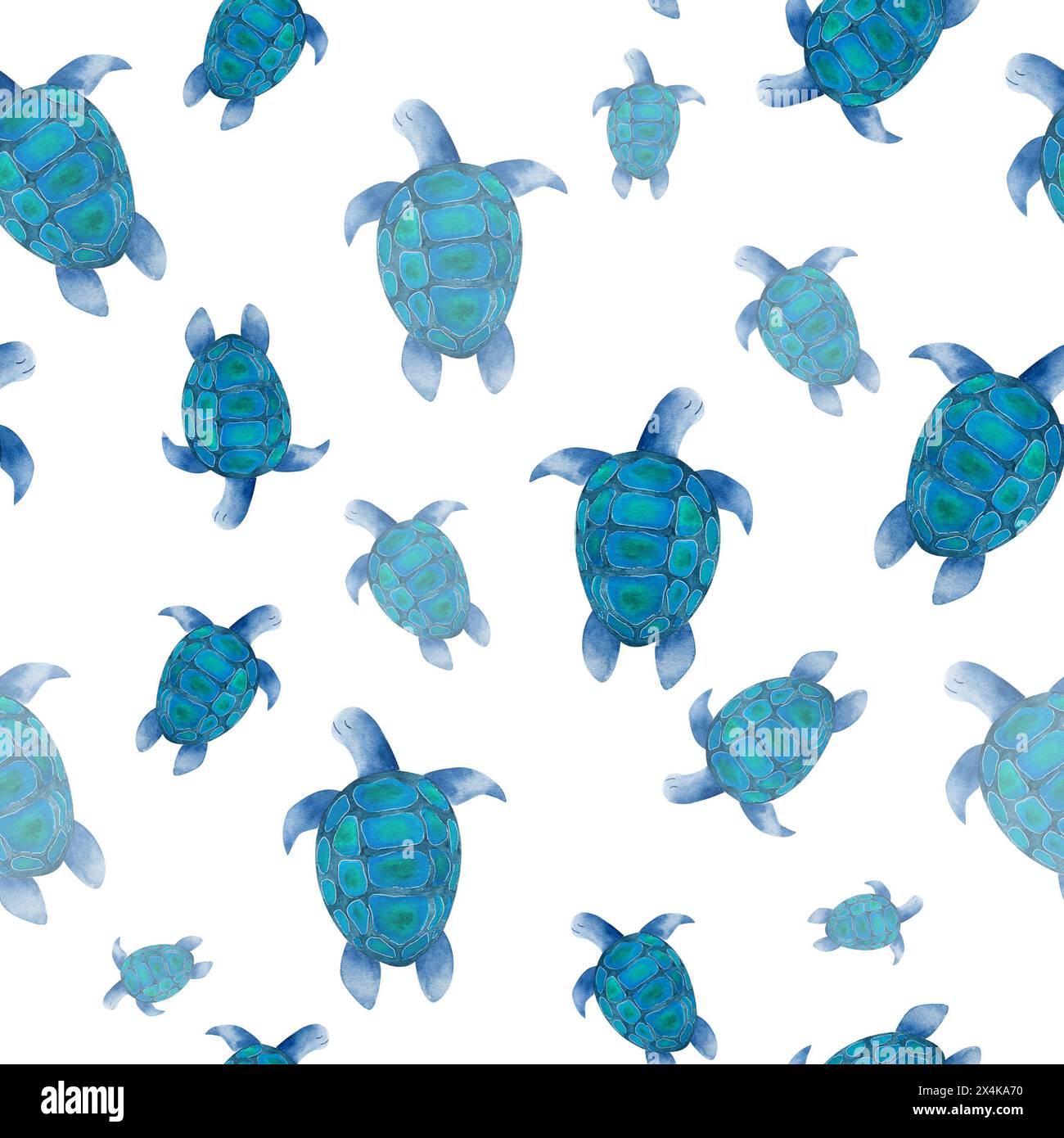 Sea life, turtle, wildlife, seamless pattern, illustration, aquatic ...