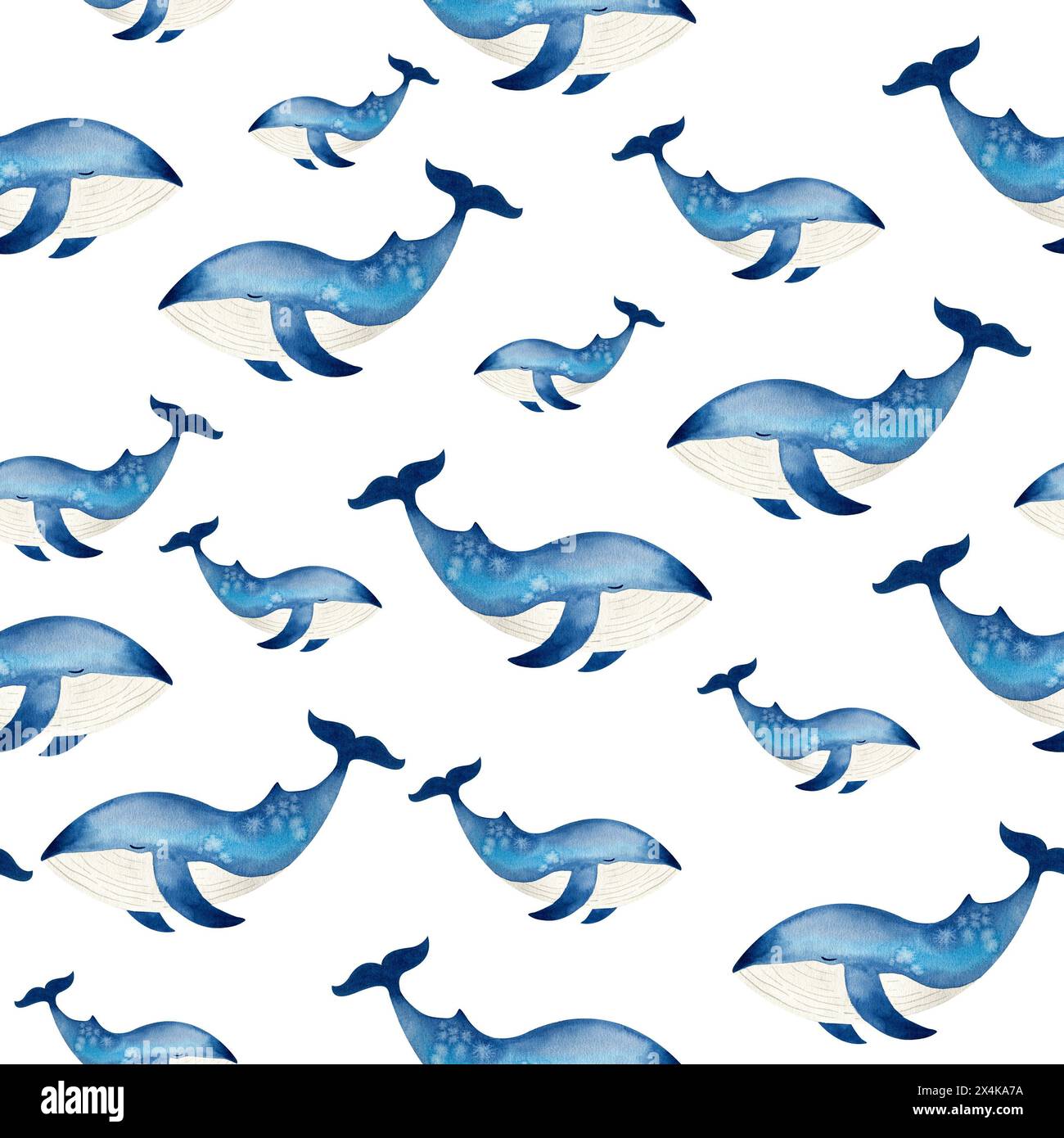 Sea life, wildlife, whale, seamless pattern, illustration, aquatic ...