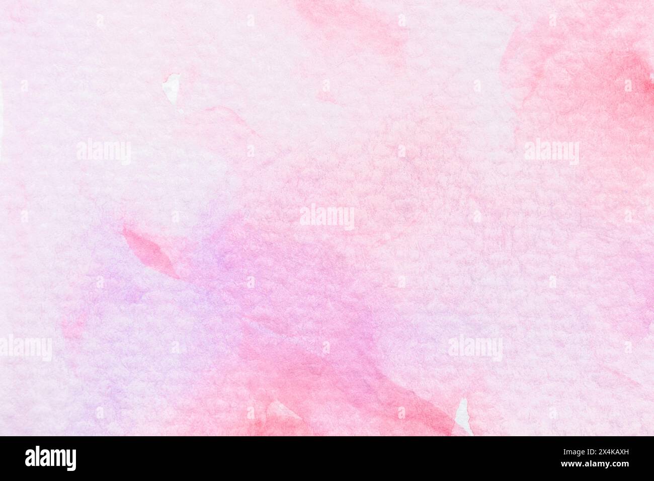 An hand painted pink watercolor background. There is a slight texture ...