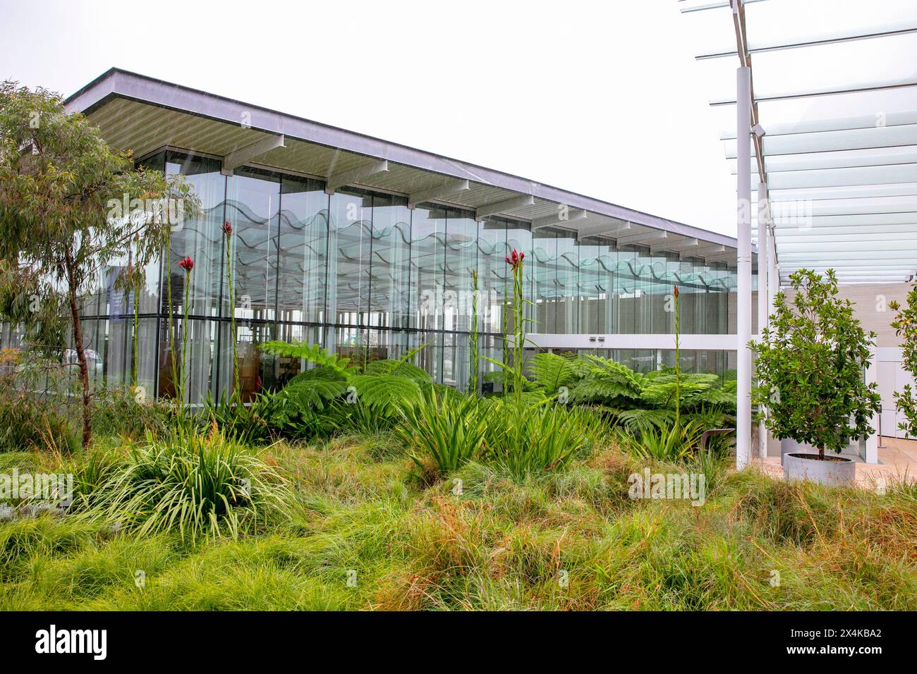 Naala Badu, the Sydney Modern extends the size of Art Gallery of New ...