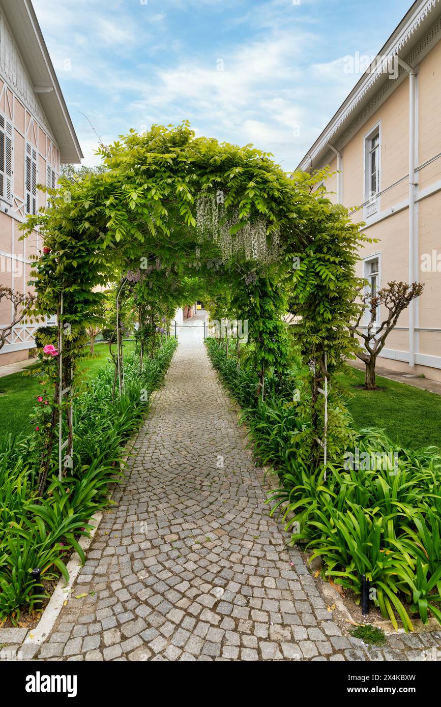 A tranquil garden walkway lined with lush greenery leading through an ...