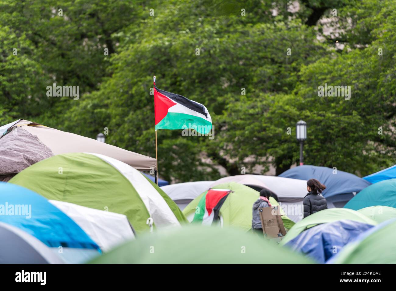 Seattle, USA. 3rd May 2024. The Pro Palestine Protestor encampment in ...