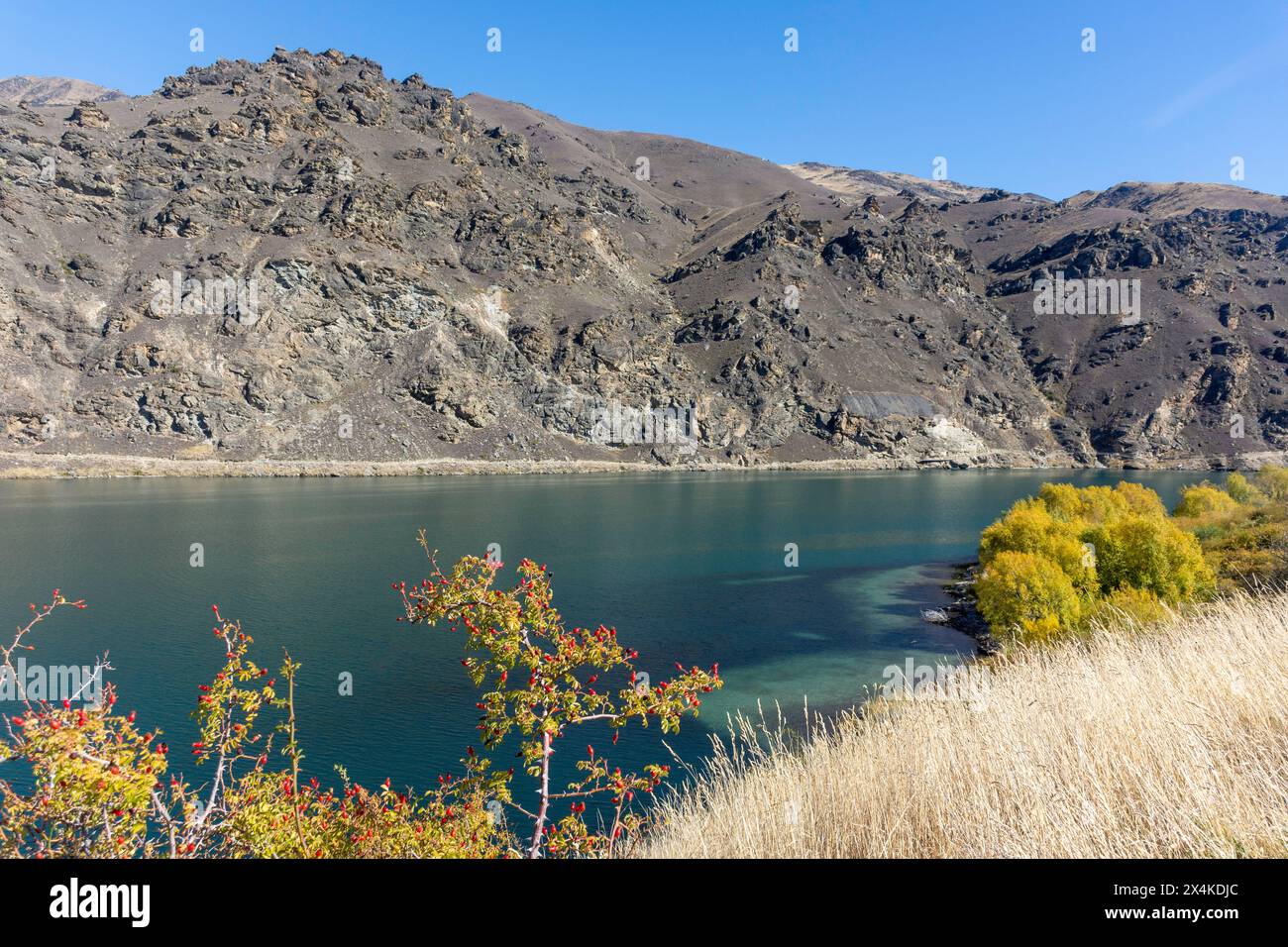 Clutha River from State Highway 8, Clyde, Central Otago, Otago, South ...