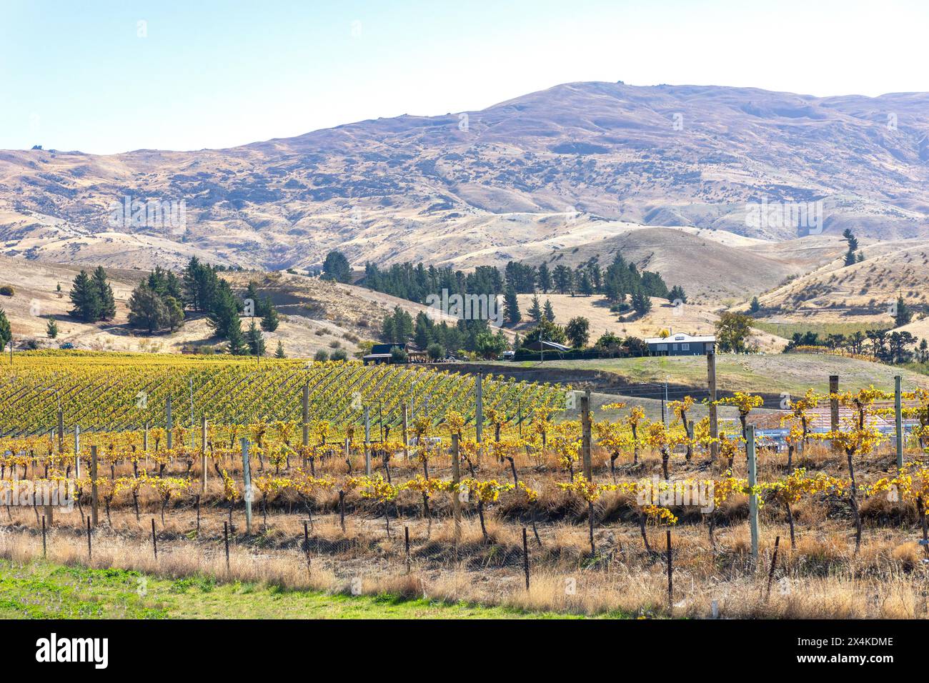 Scott Base Vineyard, State Highway 8, Cromwell, Central Otago, Otago ...