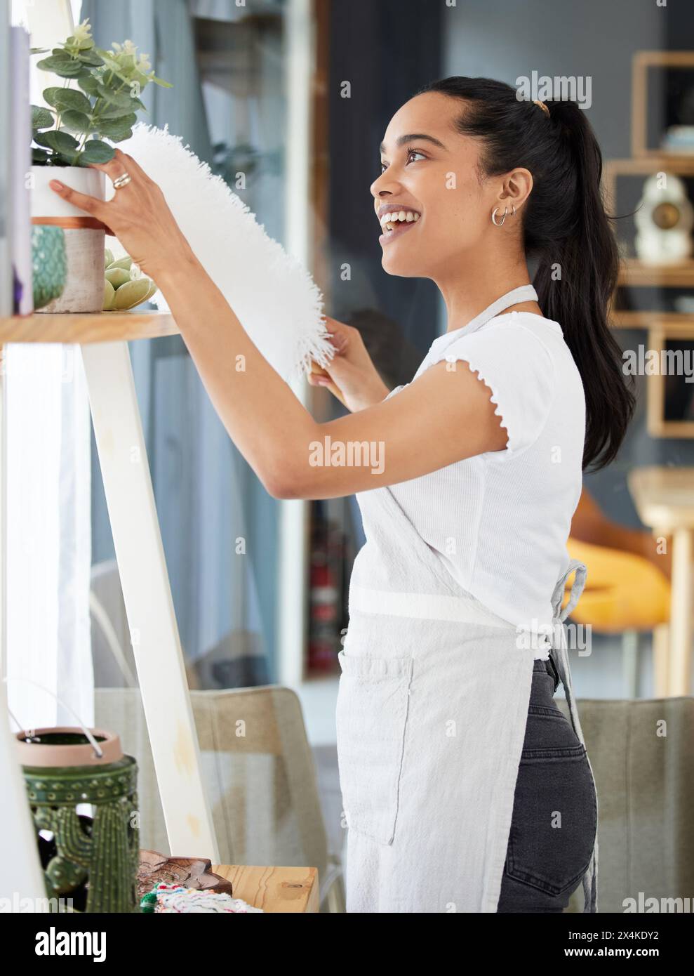 Duster, woman and cleaning dust in home for housekeeping, furniture and maintenance with hygiene ...