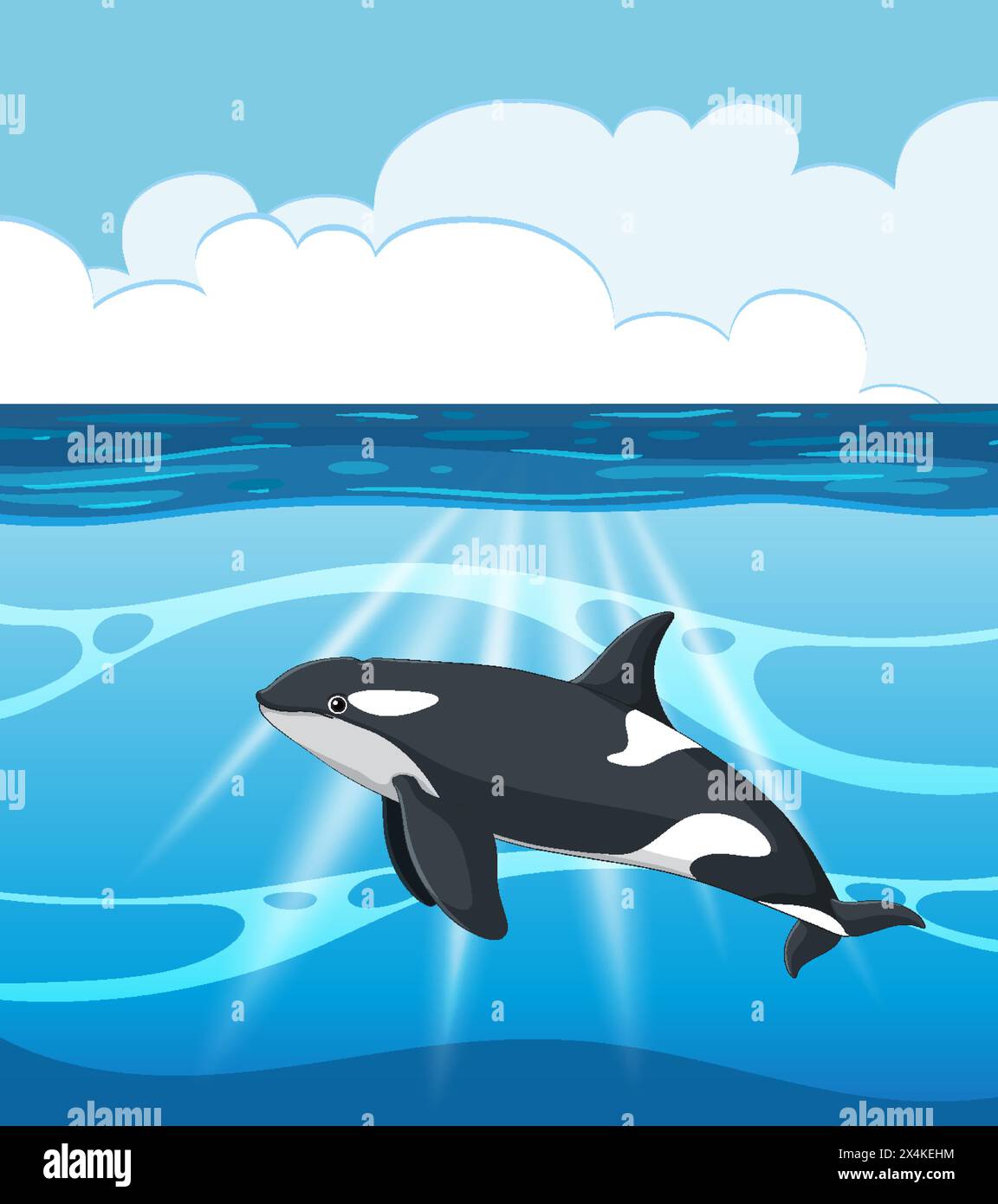 Vector illustration of an orca in blue waters Stock Vector Image & Art ...