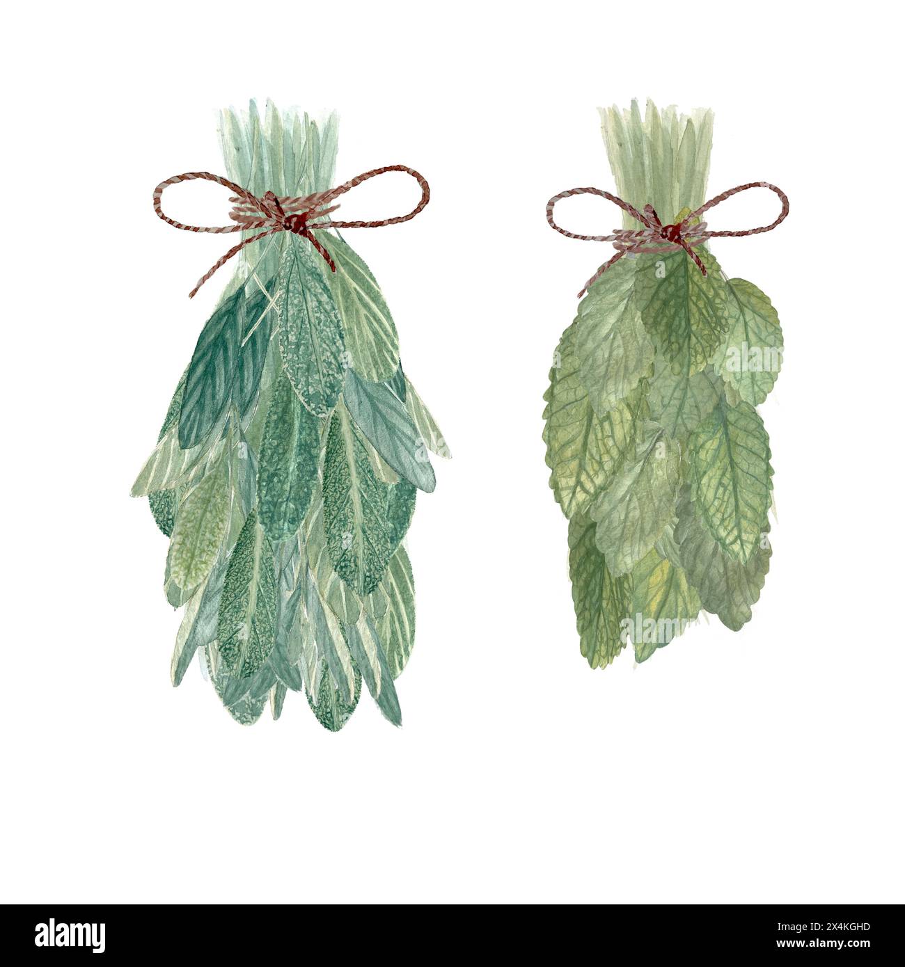 High hormones Cut Out Stock Images & Pictures - Alamy