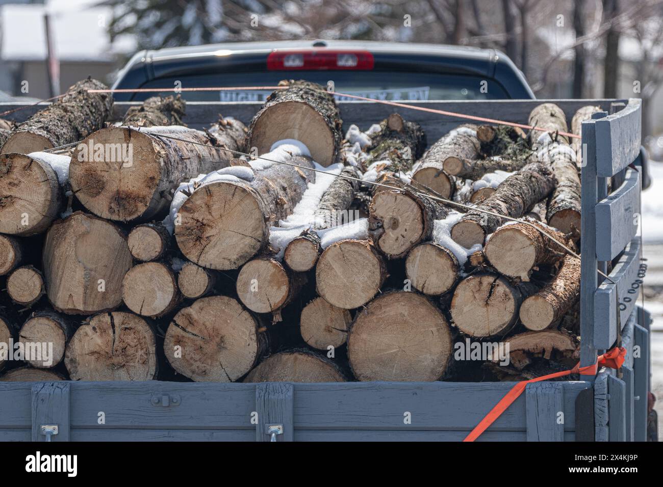 Pile of tree trunks and branches for firewood on pickup bed Stock Photo ...