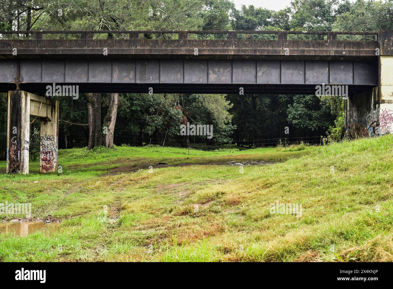 Bridge to a pasture hi-res stock photography and images - Alamy