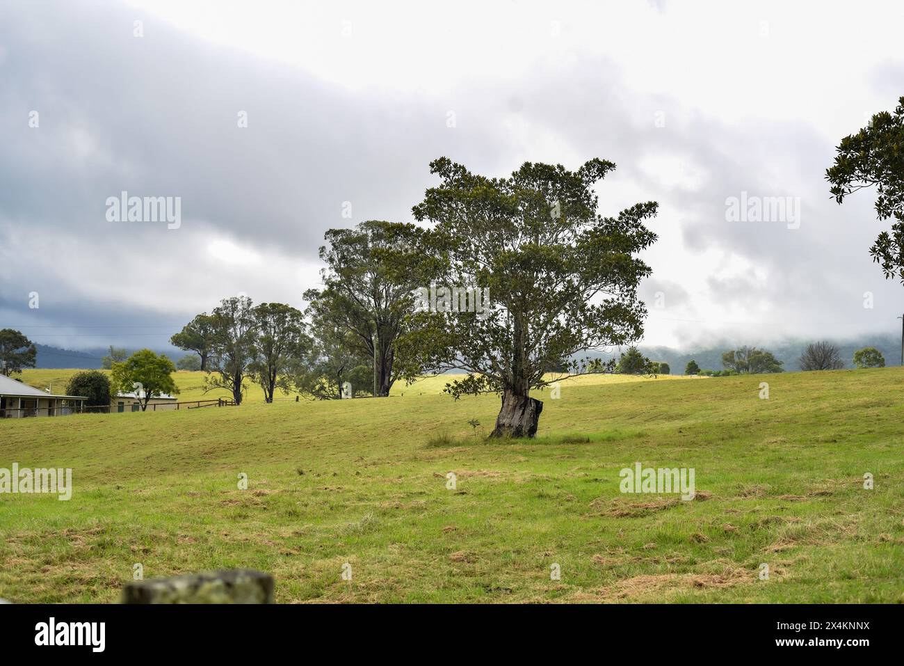 Lone single pasture hi-res stock photography and images - Alamy