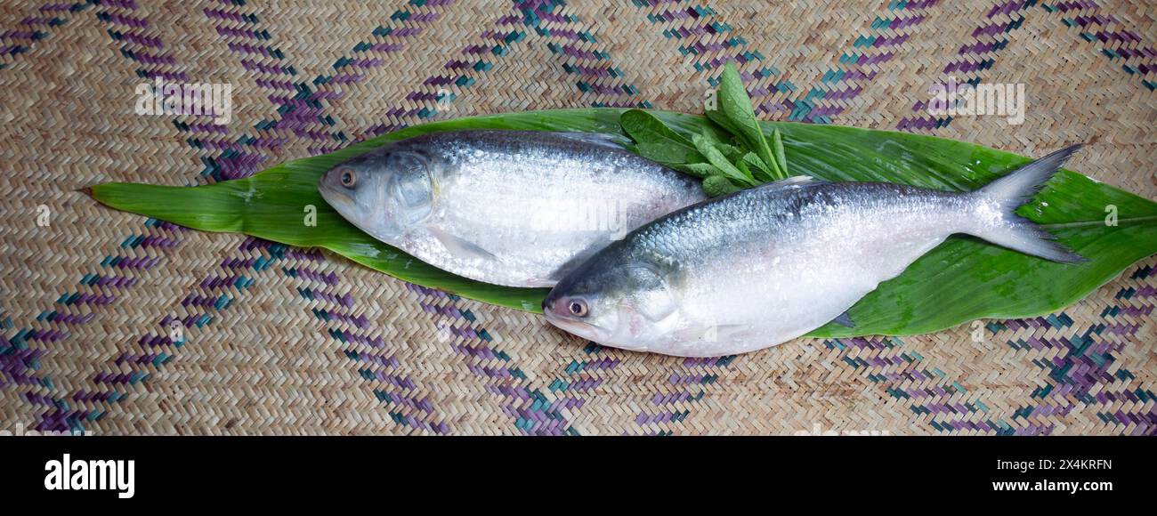 Bangladesh national fish hi-res stock photography and images - Alamy