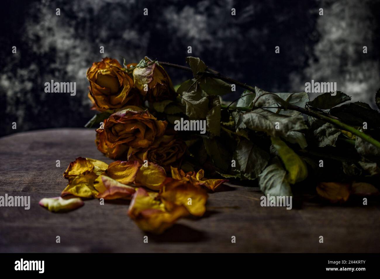 wilted yellow roses on a dark background Stock Photo - Alamy