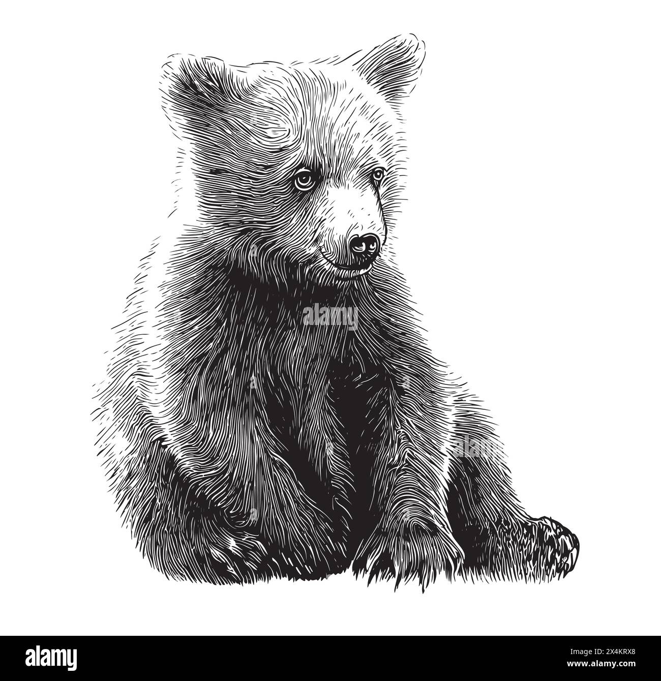 Bear cub face sketch hand drawn cartoon style illustration Stock Vector ...