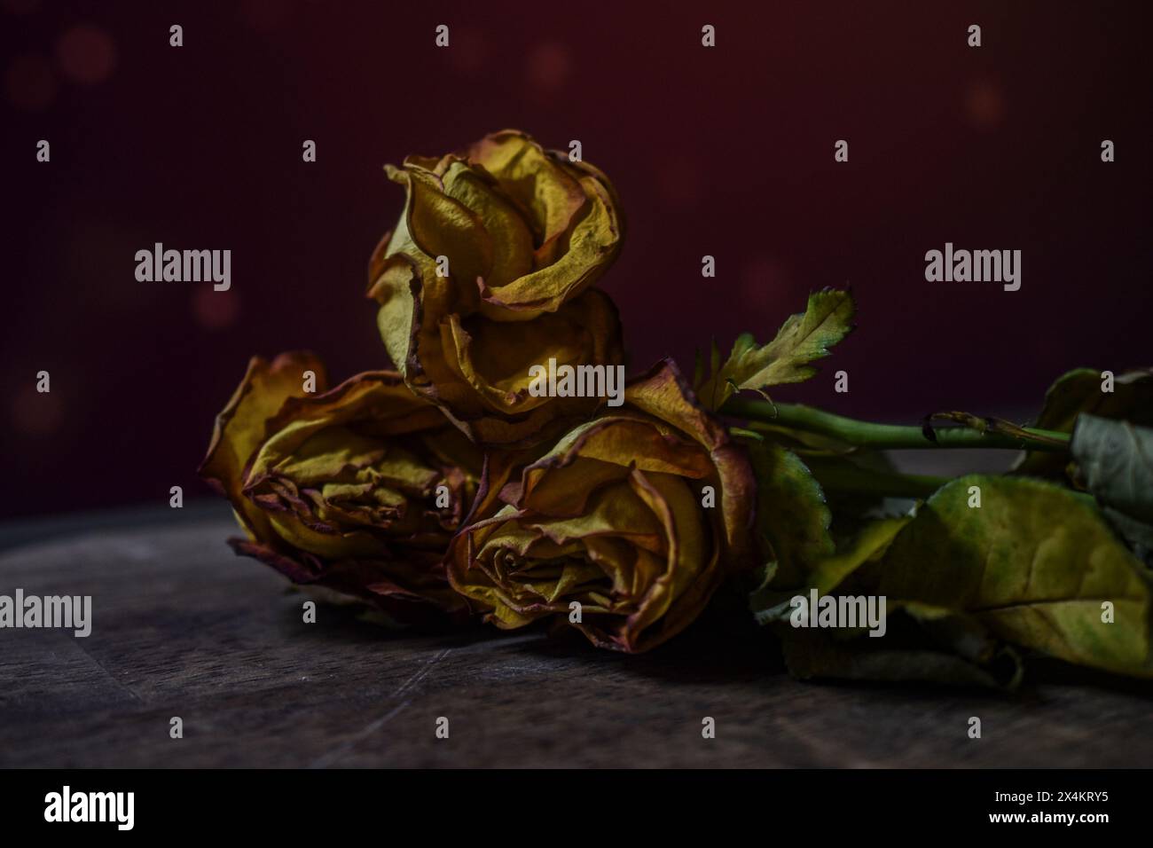 Wilted leaf texture hi-res stock photography and images - Alamy
