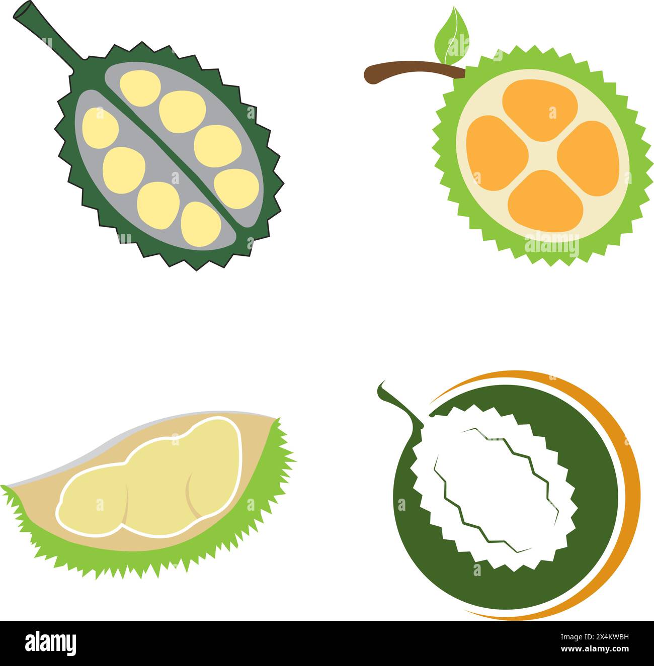 fresh Durian fruit icon,vector illustration flat design Stock Vector ...