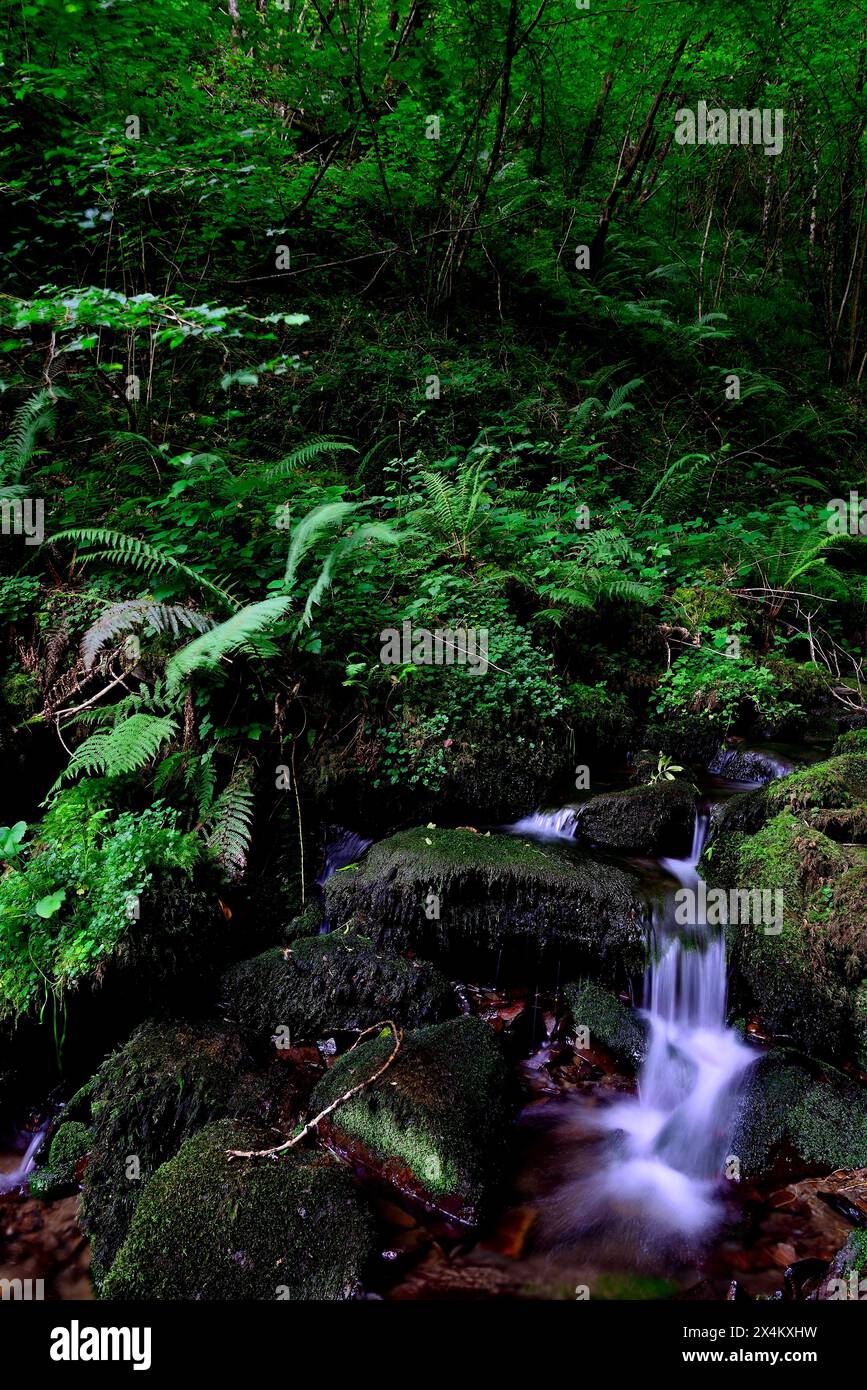 Cascada de A Salgueira, Taramundi, Asturian, Spain Stock Photo - Alamy