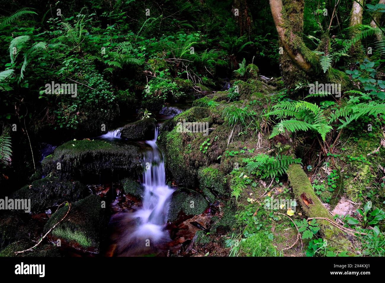 Cascada de A Salgueira, Taramundi, Asturian, Spain Stock Photo - Alamy