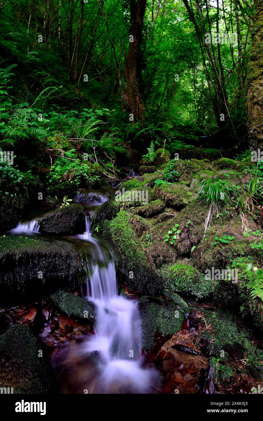 Cascada de A Salgueira, Taramundi, Asturian, Spain Stock Photo - Alamy