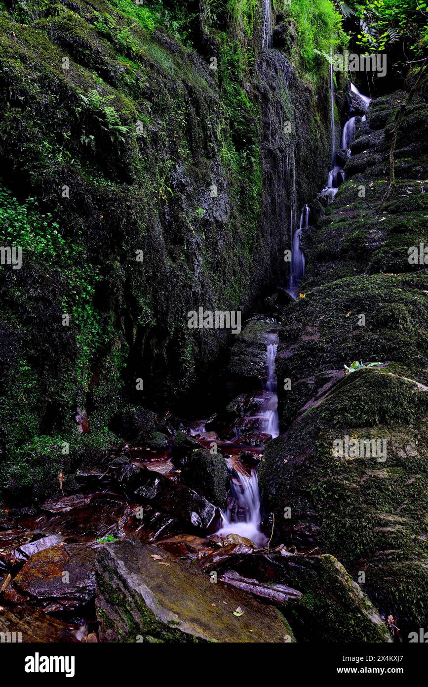 Cascada de A Salgueira, Taramundi, Asturian, Spain Stock Photo - Alamy