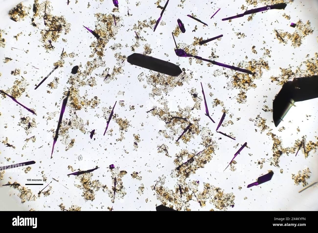 potassium permanganate crystals under a microscope at 10 times ...