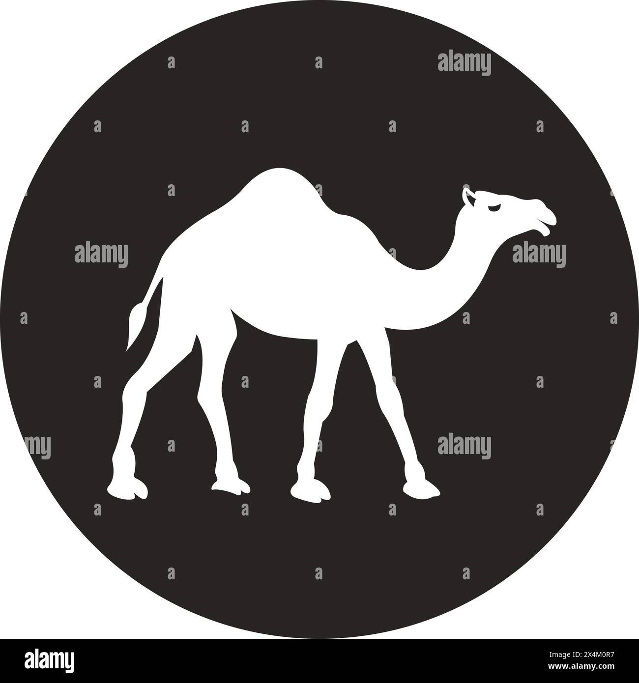 Camel icon vector illustration symbol design Stock Vector Image & Art ...