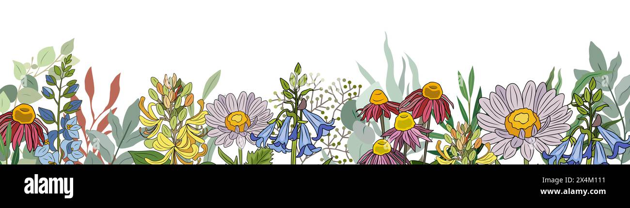 Wild blooming meadow flowers and herbs border Stock Vector Image & Art ...