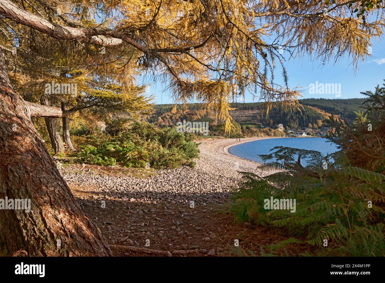 Looking east at Dores village on the east bank, shores of Loch Ness ...