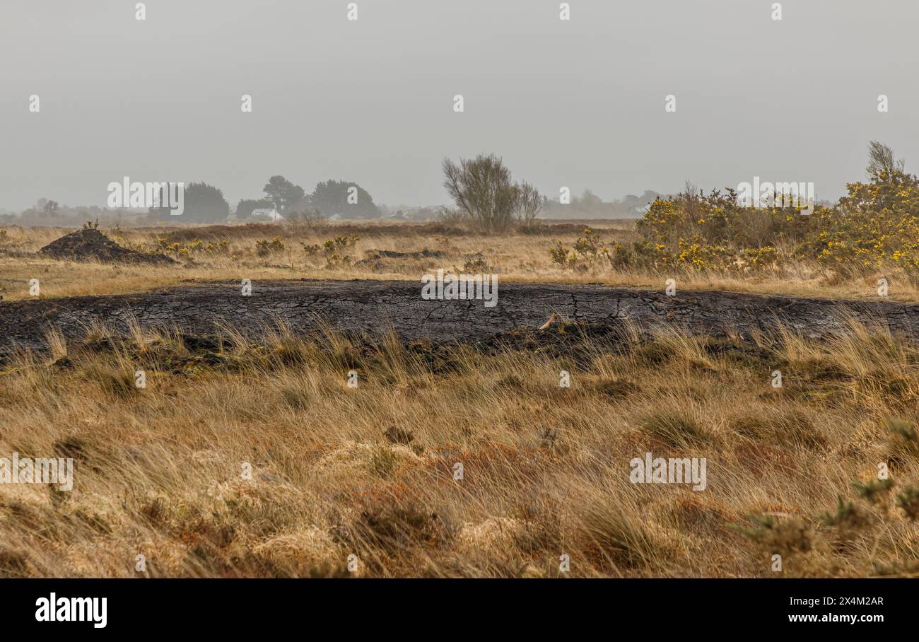 The bogs of Mogcullen where peatclearly showing wherechas been taken ...