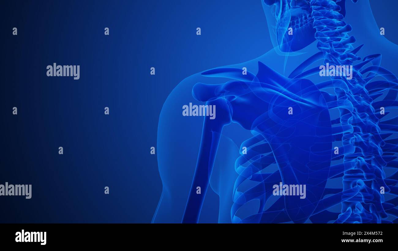 X ray human shoulder broken shoulder hi-res stock photography and ...