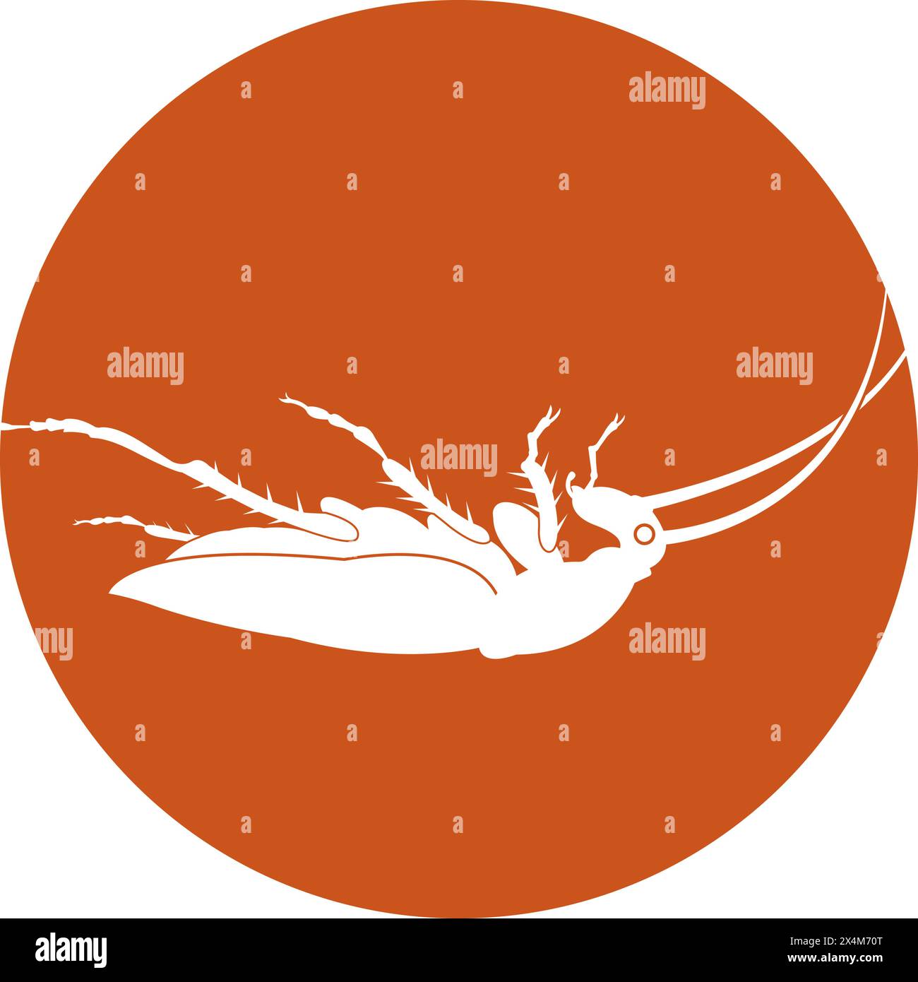 Cockroach icon,vector illustration logo design Stock Vector Image & Art ...