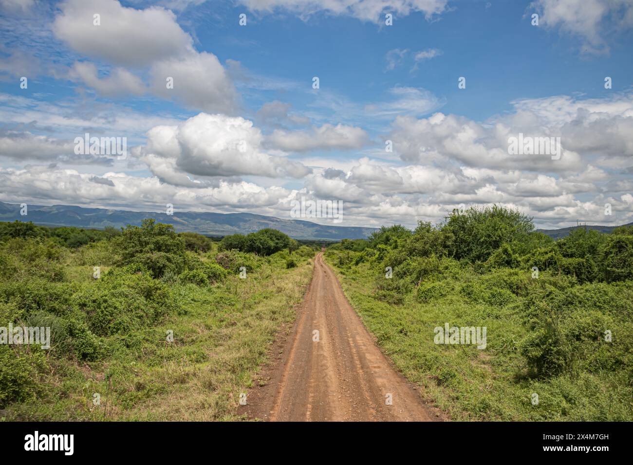 A breathtaking view of Omo Valley in Ethiopia showcases a vast, lush ...
