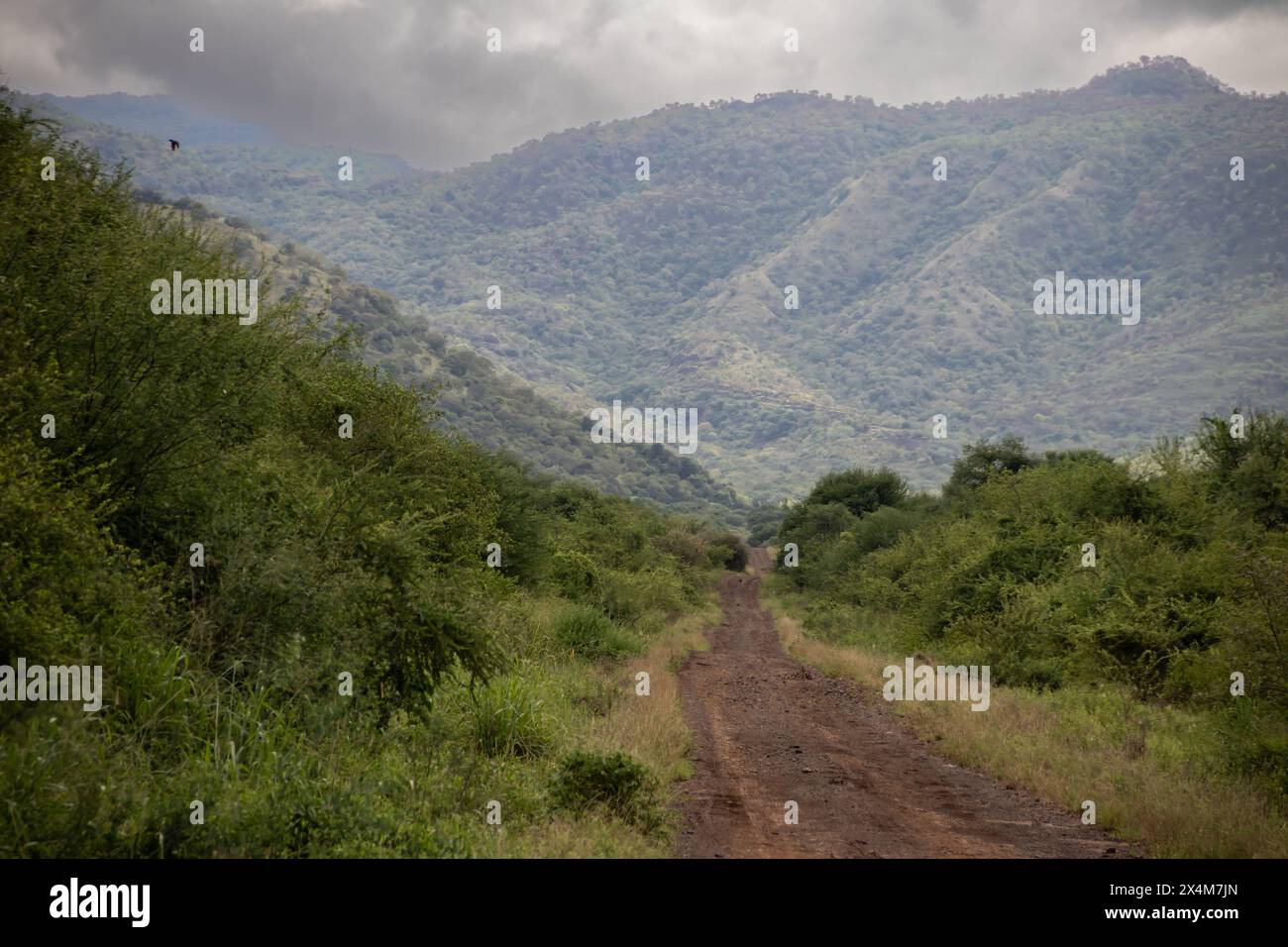 Journey through winding mountain roads hi-res stock photography and ...