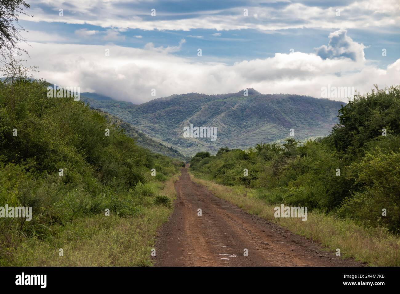 A breathtaking view of Omo Valley in Ethiopia showcases a vast, lush ...