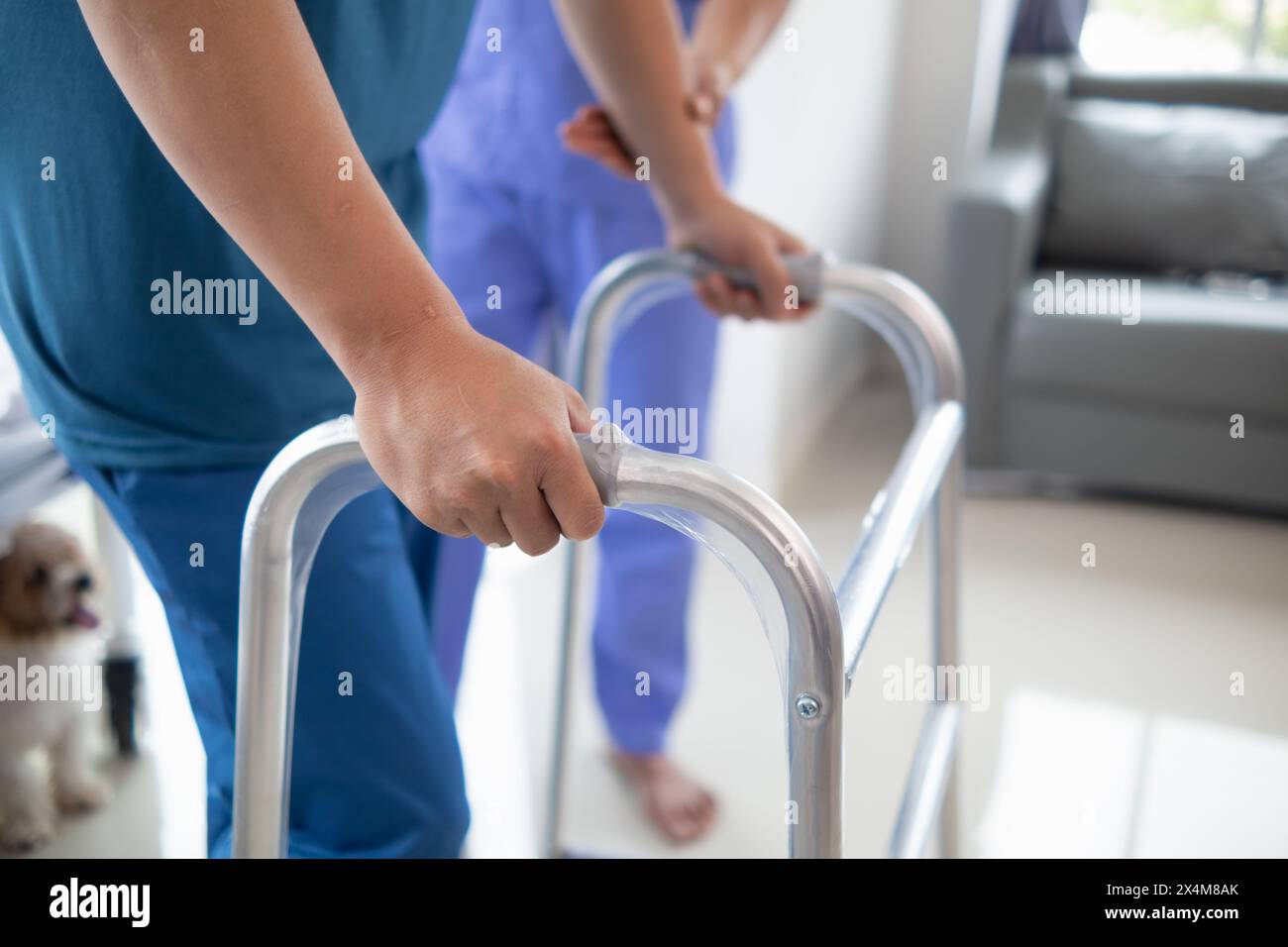 Doctors are examining patient muscle injuries and doing physical ...