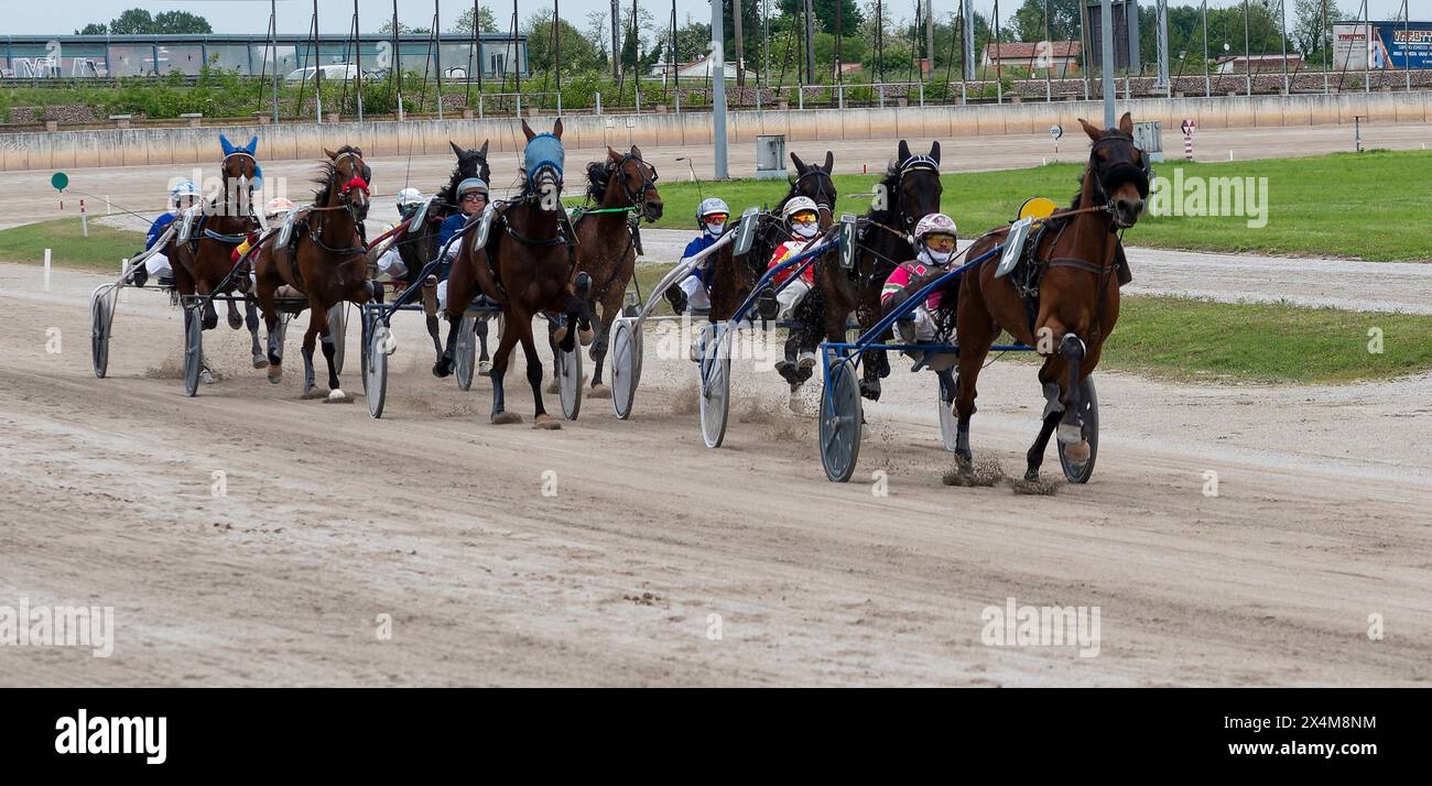 group of trotting horses and jockeys on their sulkies thrown at great ...