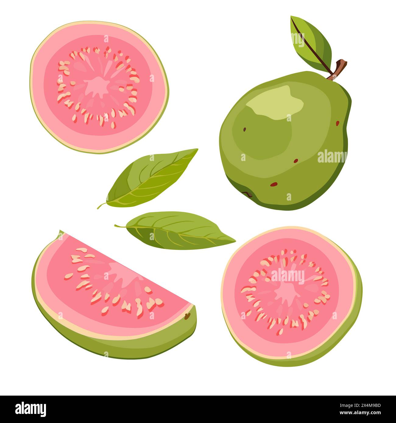 Guava fruit cut in half Cut Out Stock Images & Pictures - Alamy