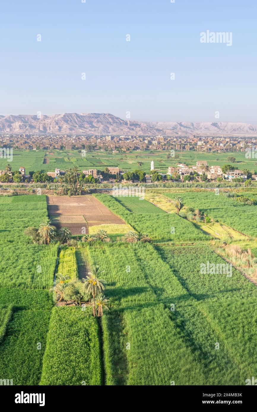 Crops in egypt hi-res stock photography and images - Alamy