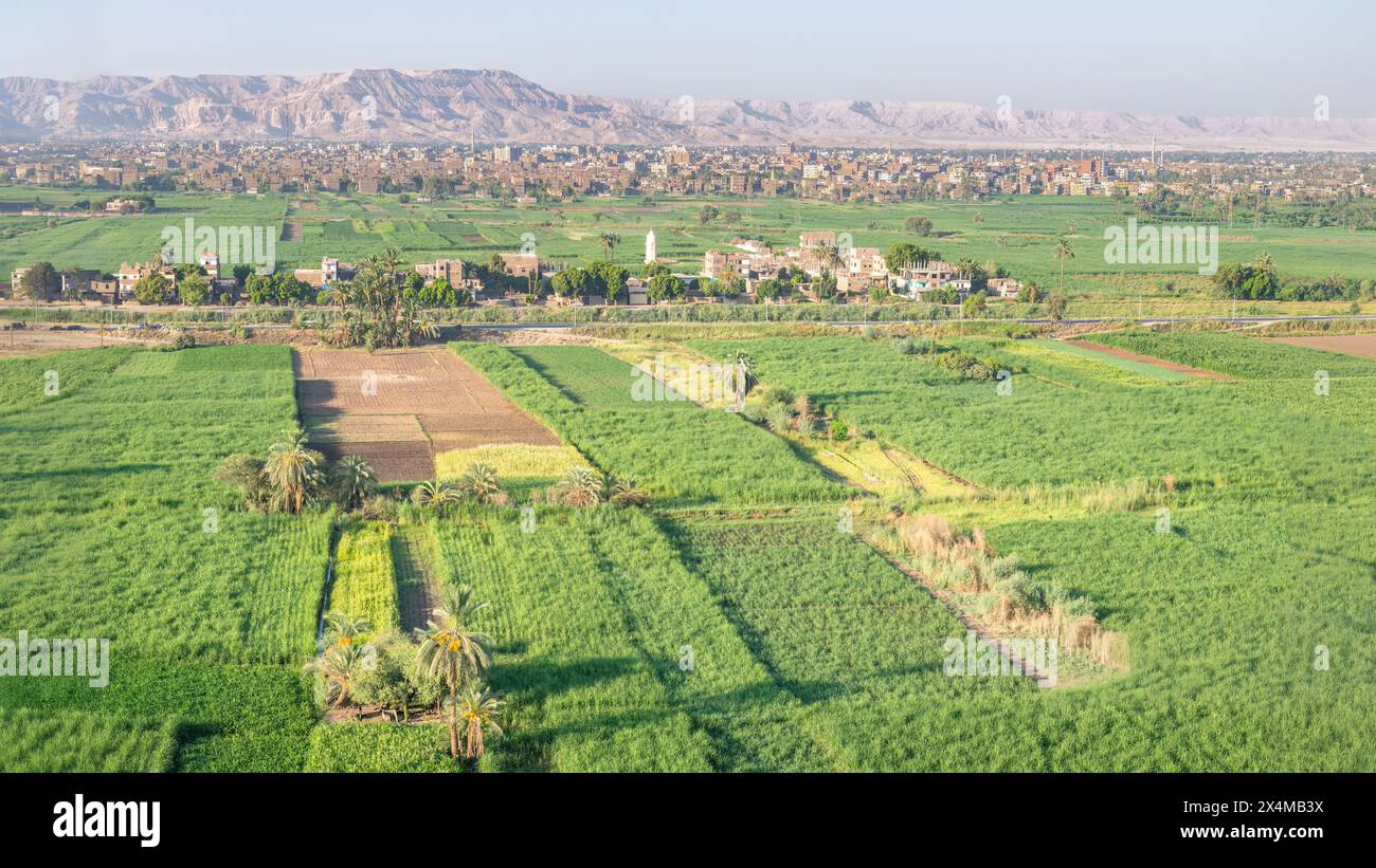 Crops in egypt hi-res stock photography and images - Alamy