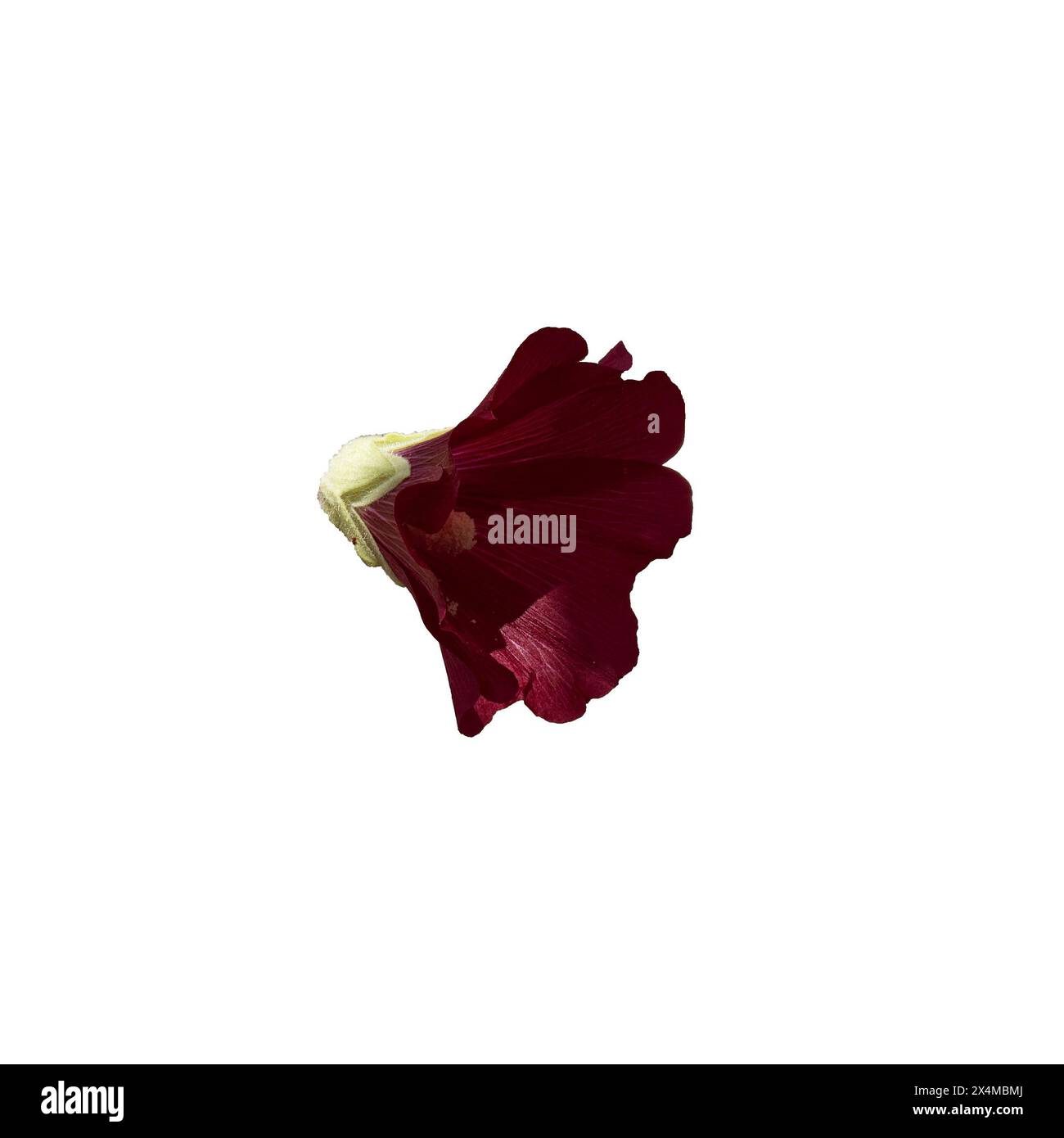 Subtle color variations Cut Out Stock Images & Pictures - Alamy