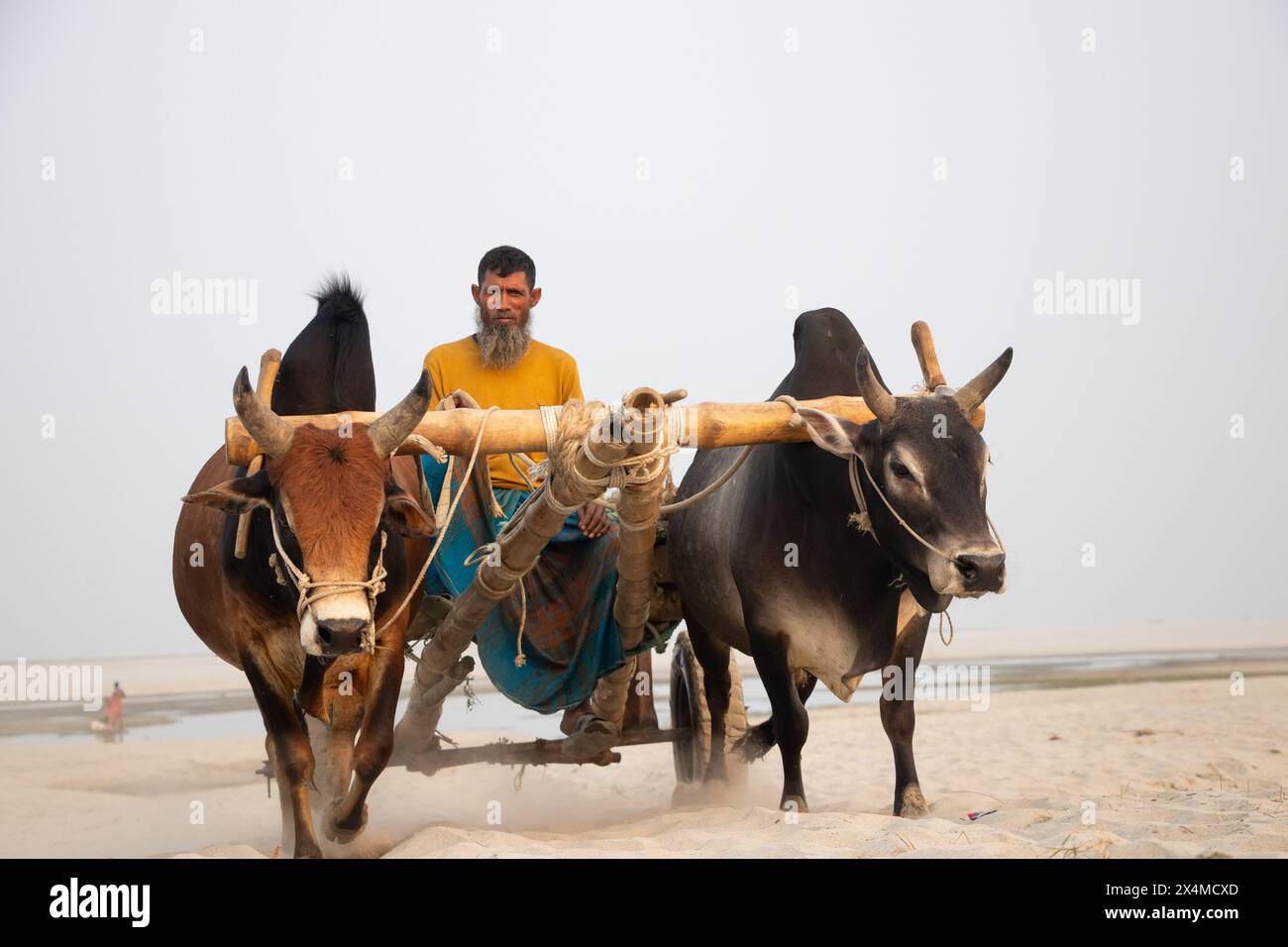 May 4, 2024, Bogura, Rajshahi, Bangladesh: Bullock carts cross a dried ...