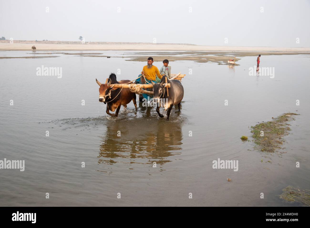 May 4, 2024, Bogura, Rajshahi, Bangladesh: Bullock carts cross a dried ...