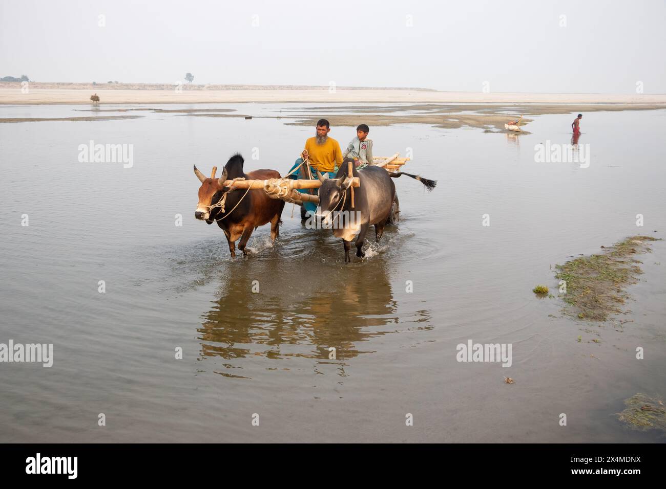 May 4, 2024, Bogura, Rajshahi, Bangladesh: Bullock carts cross a dried ...
