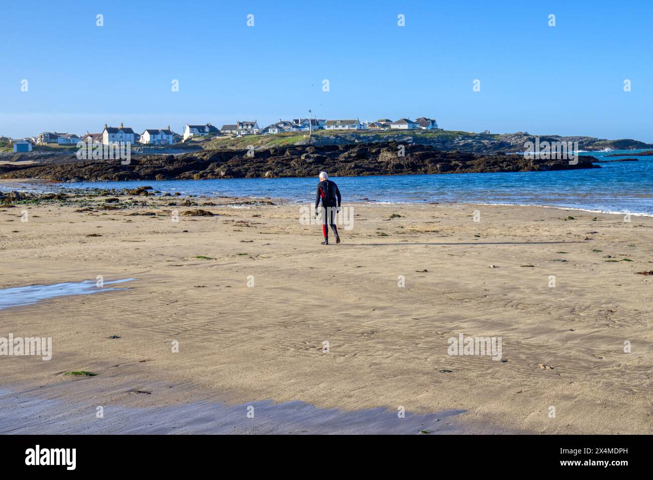 Early Morning Swimmer, Trearddur Bay, Beach, Anglesey, North Wales, UK ...
