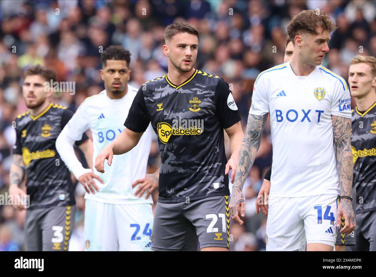 Taylor harwood bellis southampton hi-res stock photography and images ...