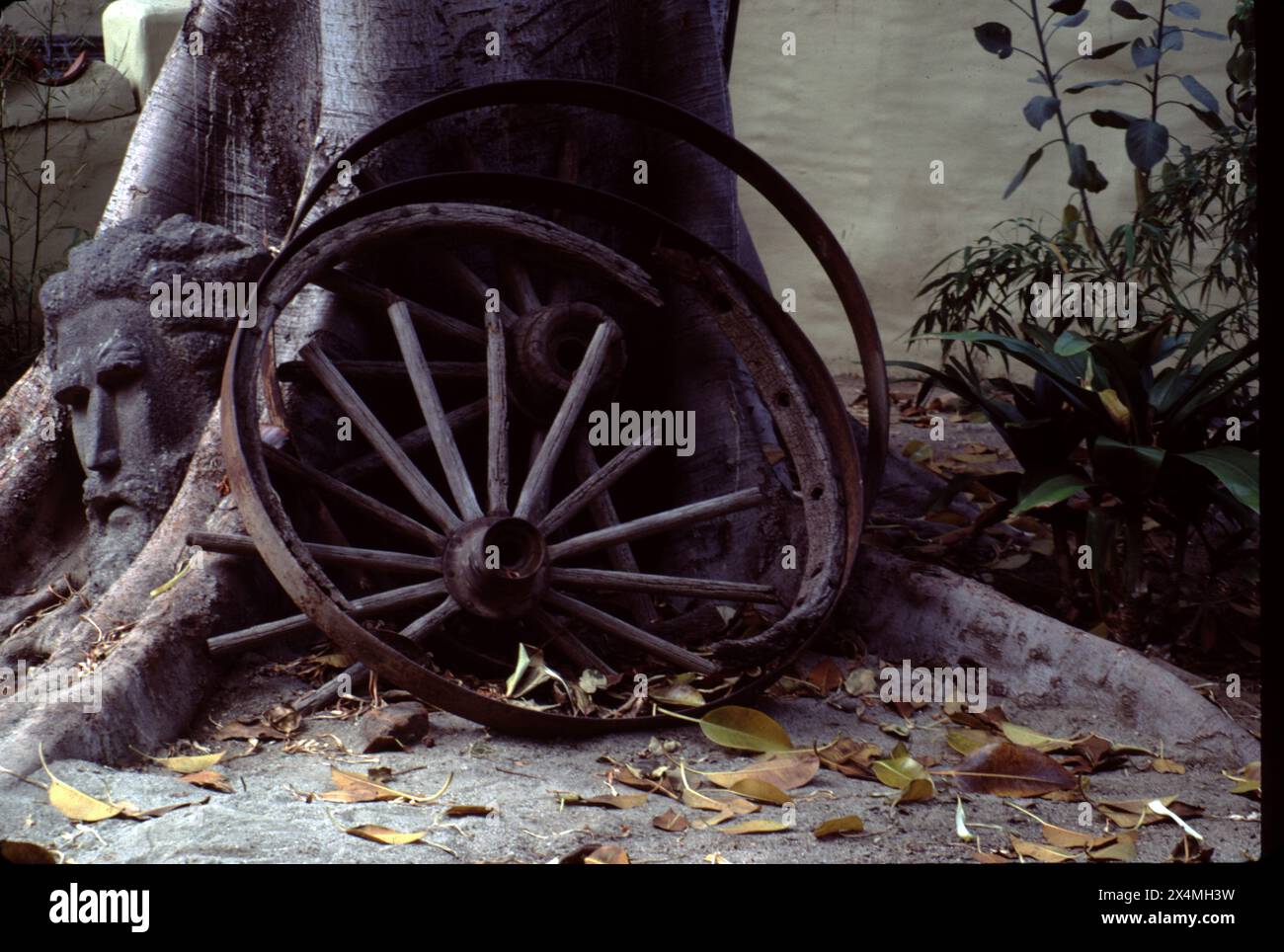 Solvang, CA. USA. Circa 1981. Mission Santa Inés (sometimes spelled ...