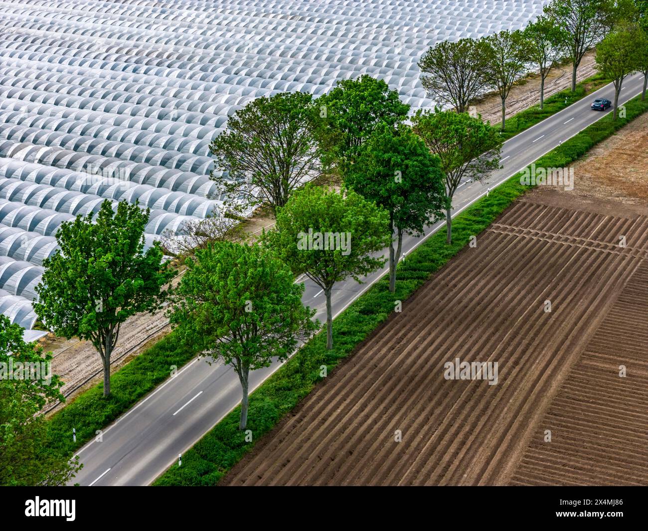 Agriculture, large areas with foil tunnels, for the cultivation of ...