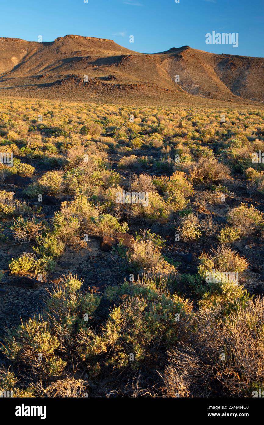 High desert, Sheldon National Wildlife Refuge, Nevada Stock Photo - Alamy