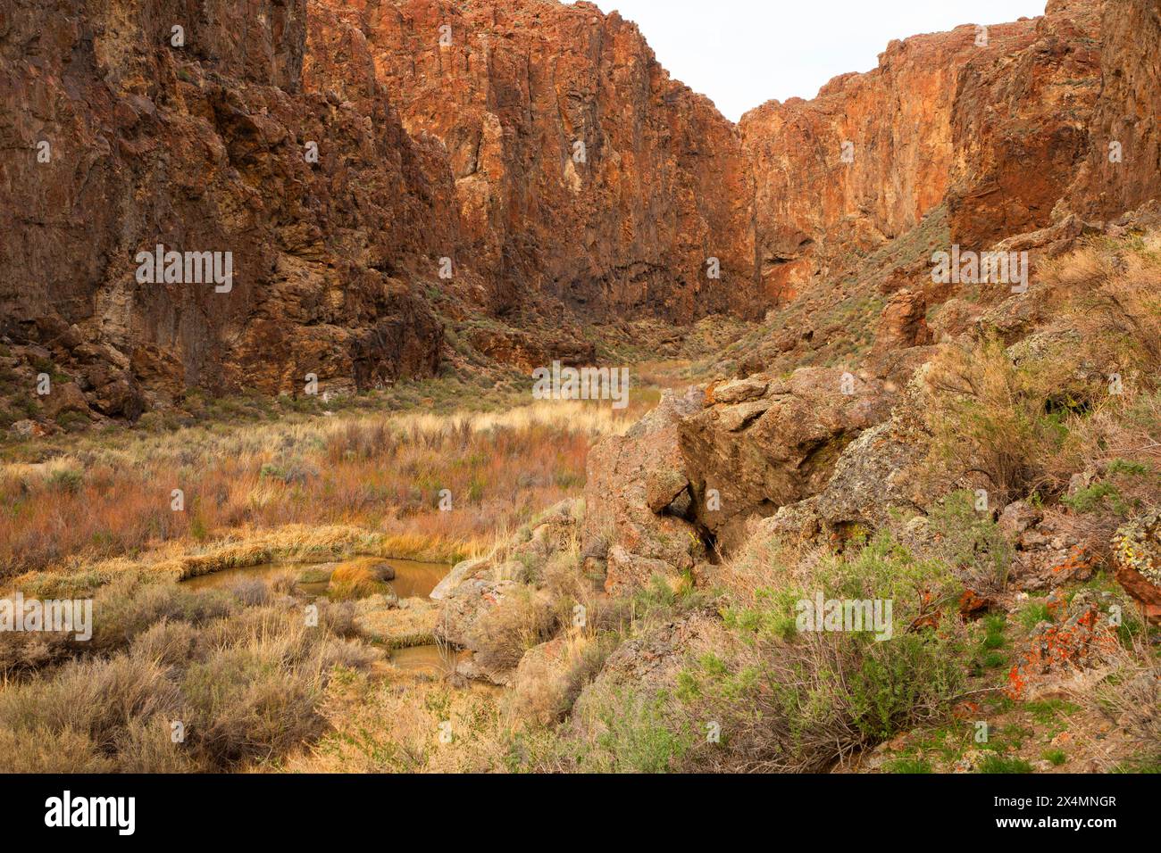 Thousand Creek Gorge, Sheldon National Wildlife Refuge, Nevada Stock ...