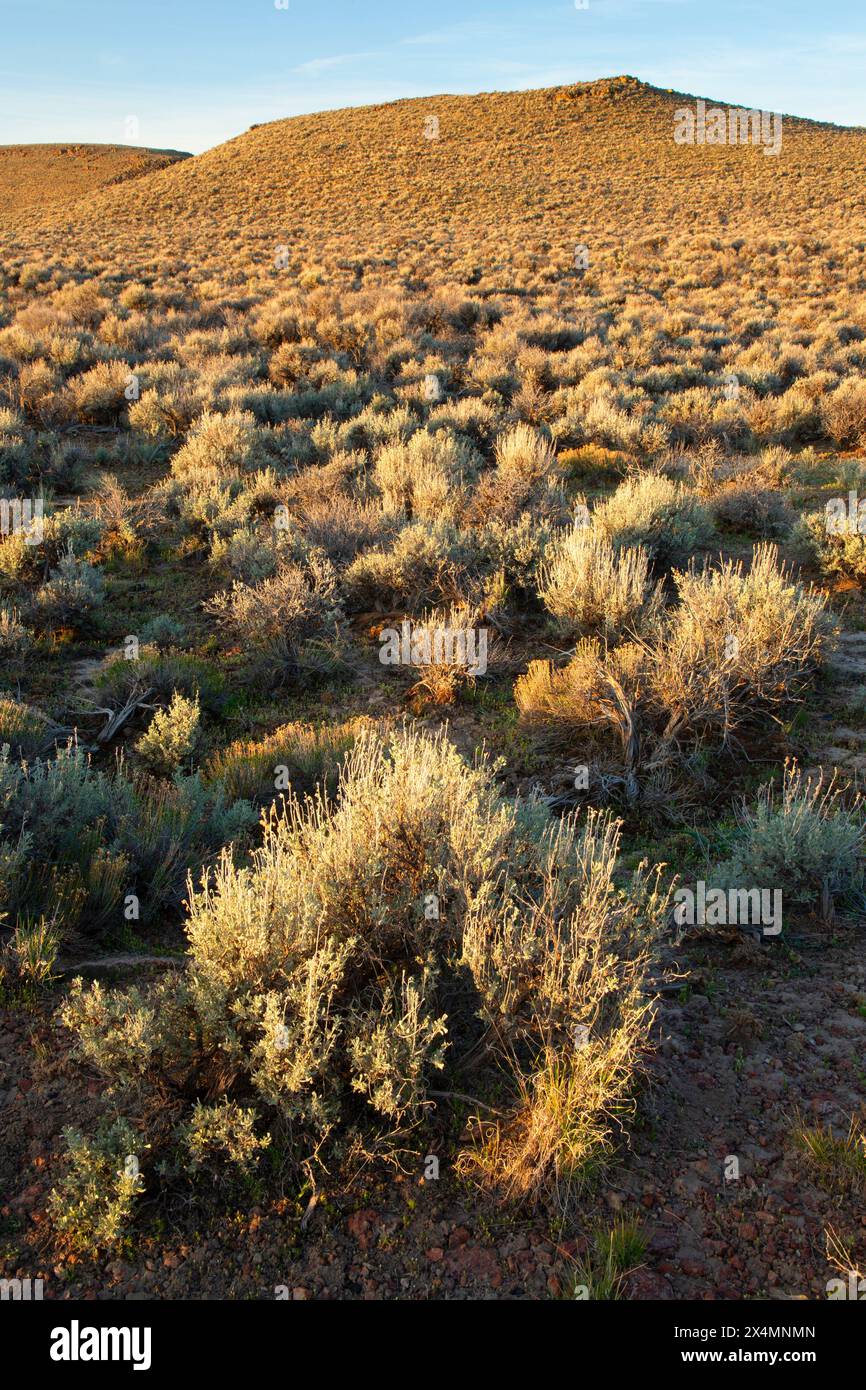 Sheldon national wildlife refuge hi-res stock photography and images ...